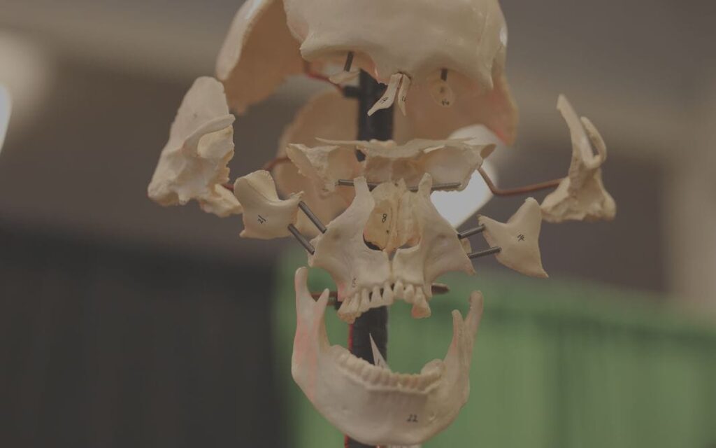 CreepyCon – Knoxville's Halloween & Horror Convention